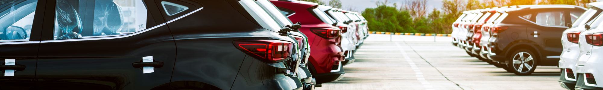 Our Team | COLISEUM AUTO SALES