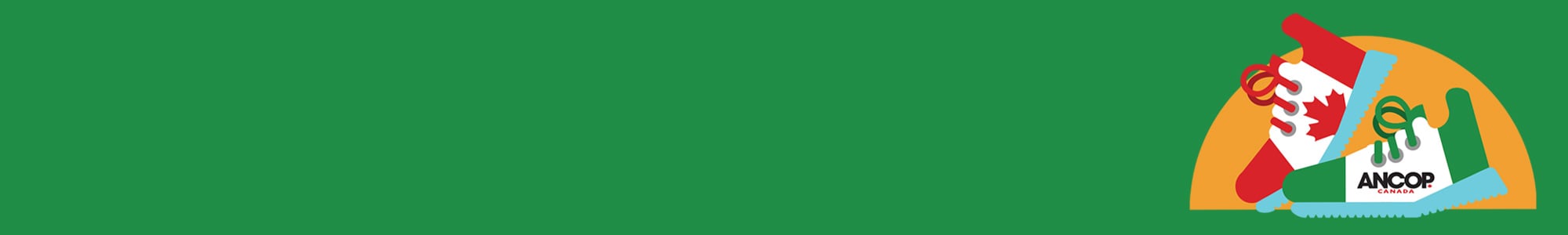 ANCOP Walk 2024: A Day of Community and Compassion | Vickar.com